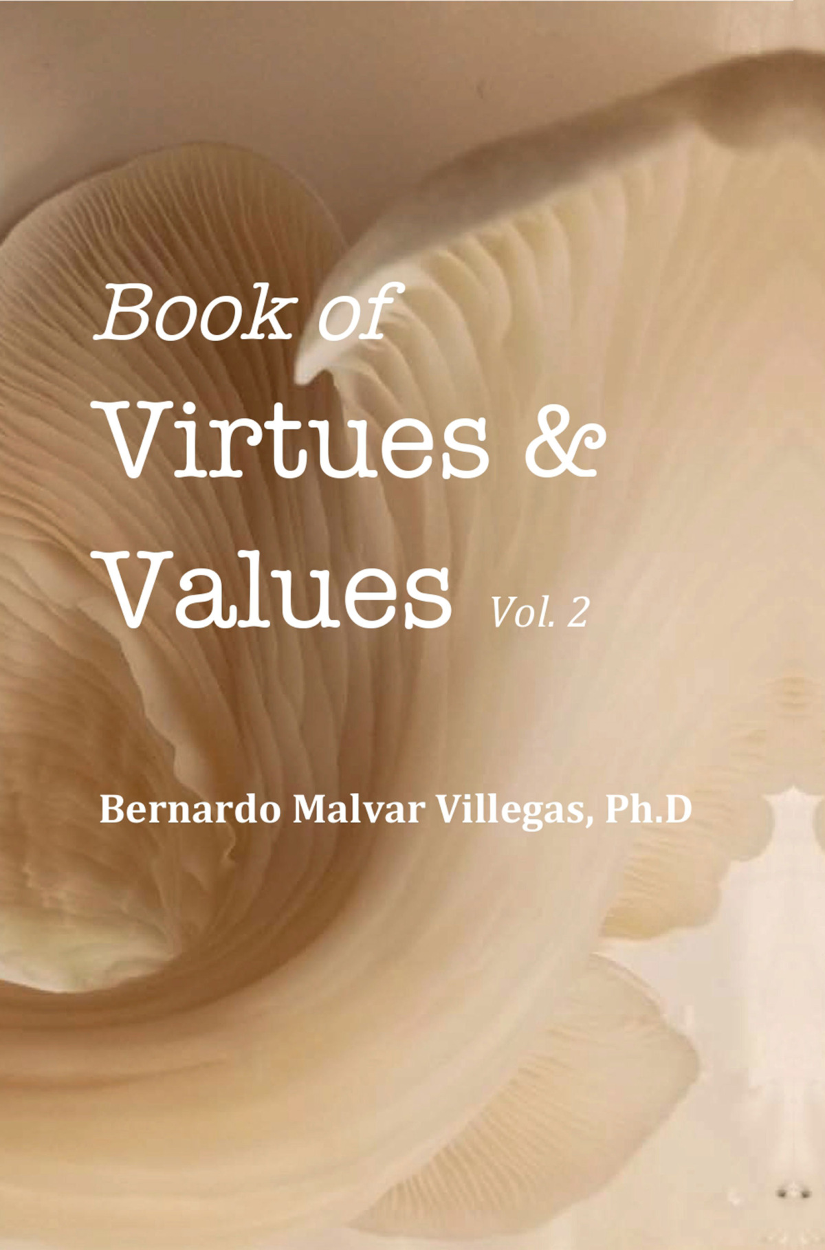 Book of Virtues and Values (Vol. 2) - Center for Research and Communication